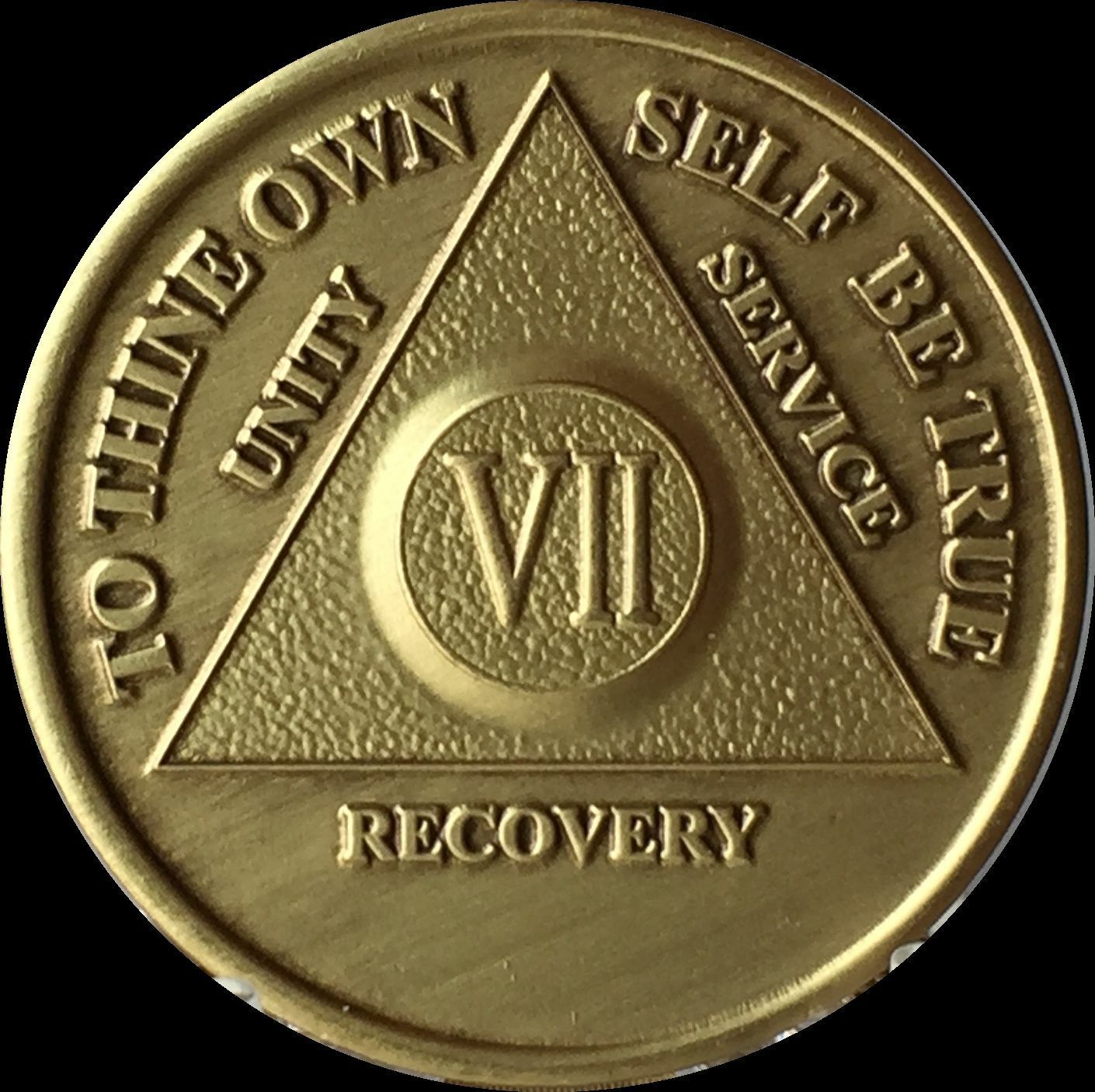 7 Year AA Medallion Alcoholics Anonymous Sobriety Chip Coin VII Seven ...