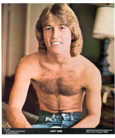 ANDY GIBB 1977 Poster Put-On Sticker - Music Memorabilia