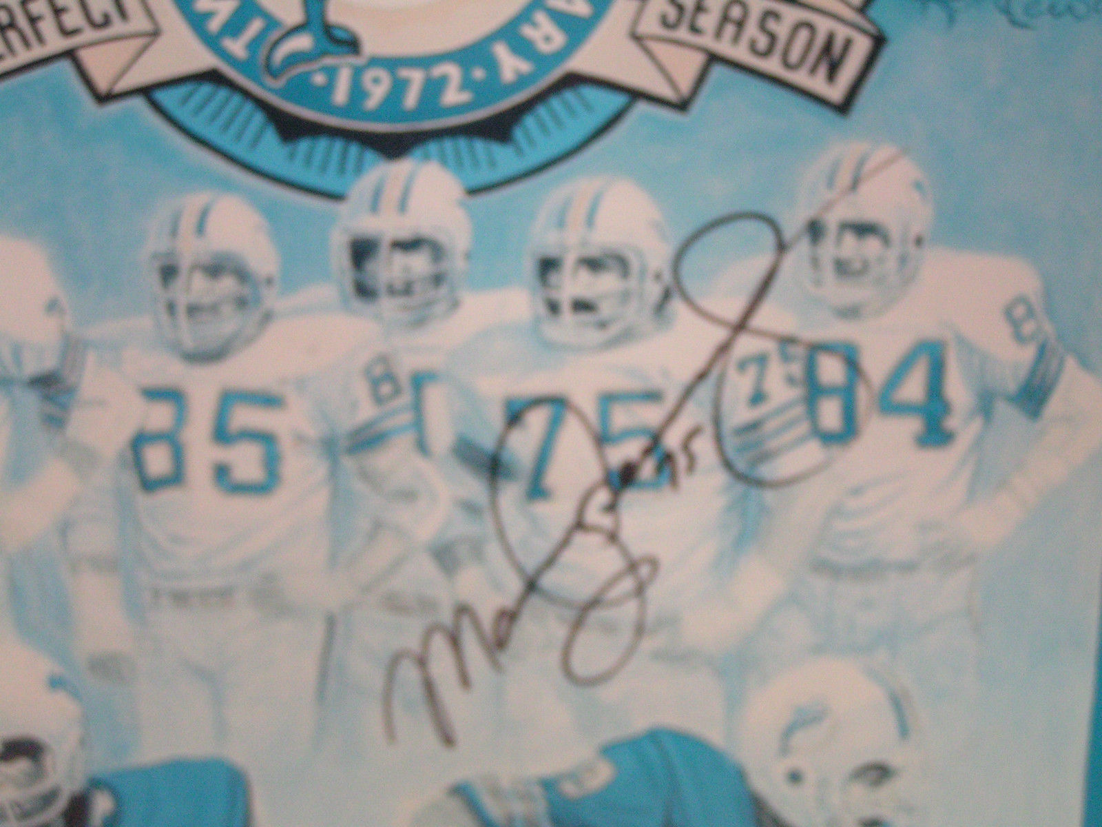 1972 Miami Dolphins Perfect Season Ron Lewis Picture 1018/1972 All ...