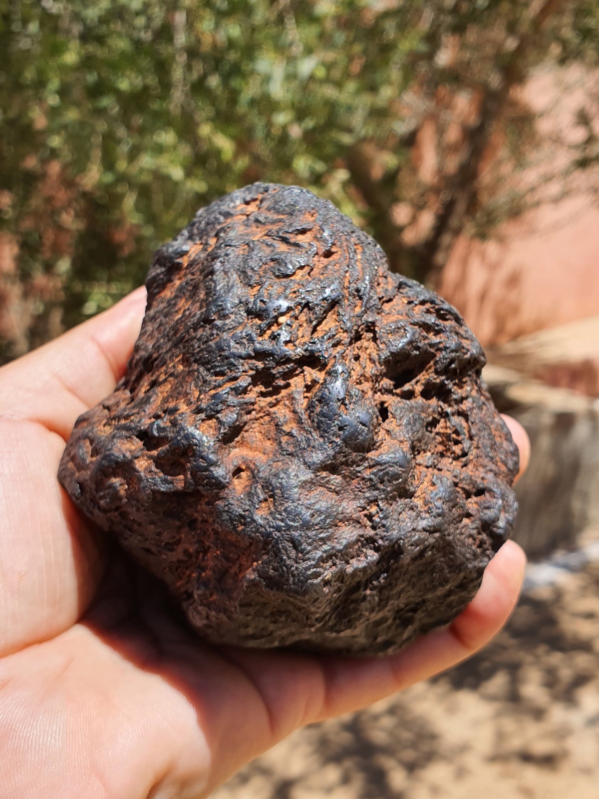 IRON METEORITE NWA 935g #A241 - Meteorites & Tektites