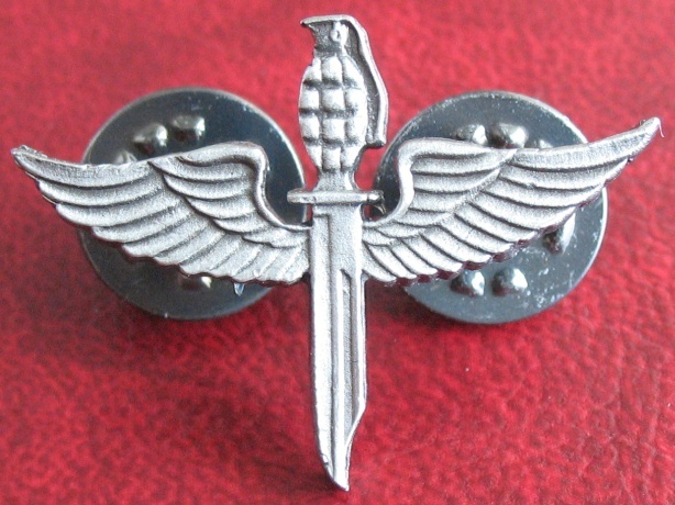 Israel army IDF obsolete sayeret Rimon unit badge grenade / sword pin ...