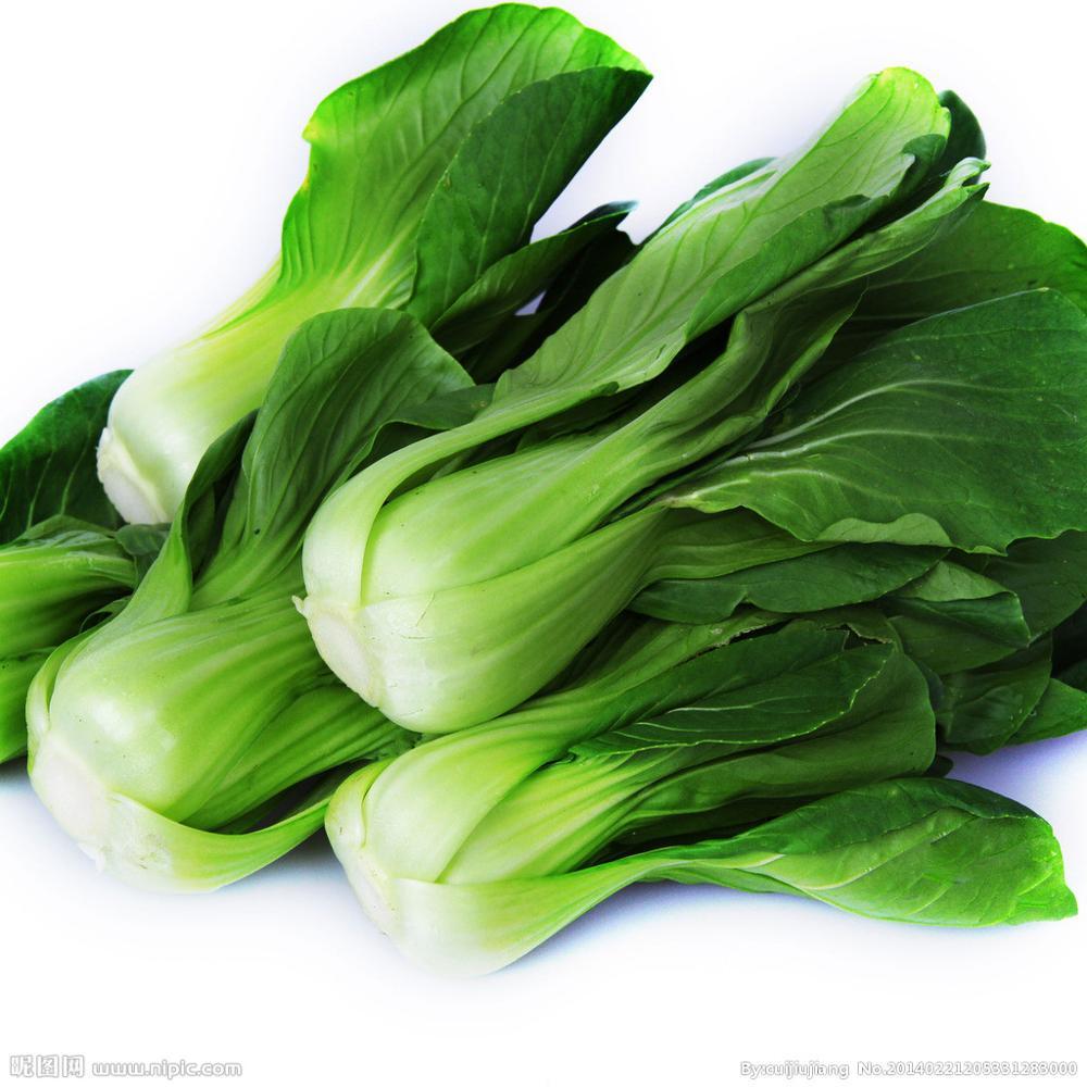 Pak Choi Bok Choy Chinese Cabbage Seeds Vegetable Easy To Grow 200 ...