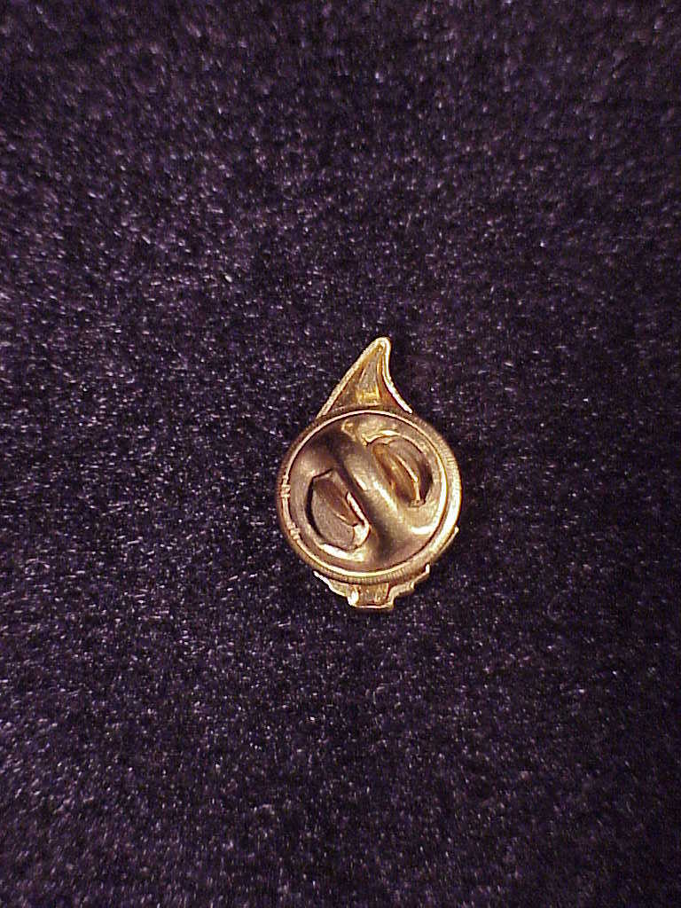 Red Cross 2 Gallon Blood Donor Pin with back and 12 similar items