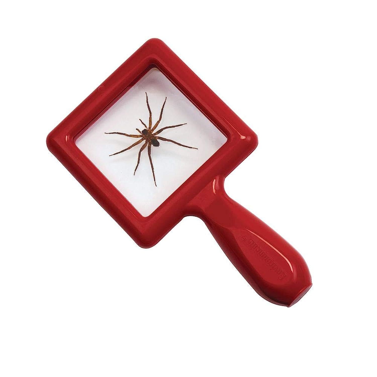 Environments Toddler, Preschool Early Stem, Specimen Viewers For Kids ...