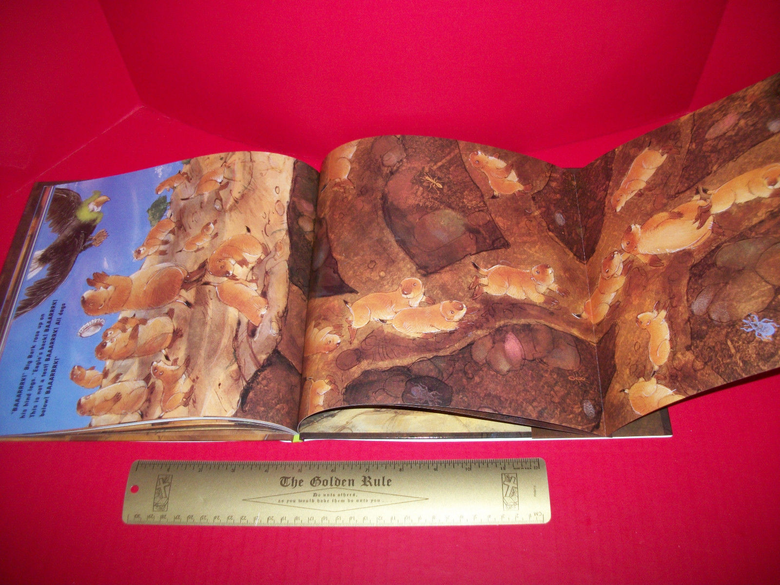 Scholastic Picture Book 2005 The Great Fuzz Frenzy Hardcover Fiction ...