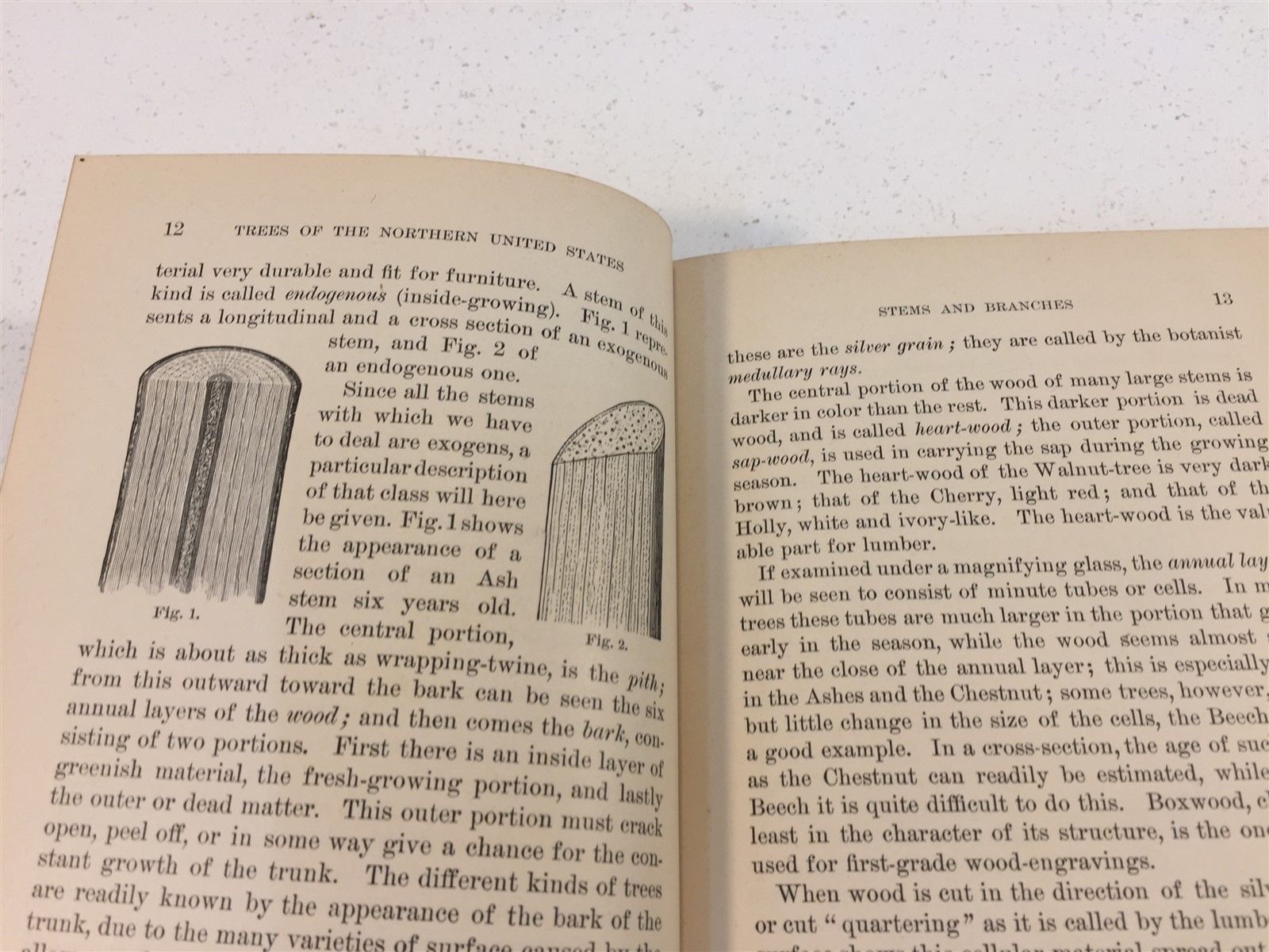 Apgar's Trees of The Northern United States by Austin Apgar HC Undated ...