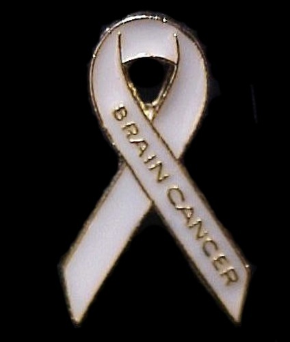 Brain Cancer Lapel Pin Gray Awareness Ribbon Gold Letters USA New ...