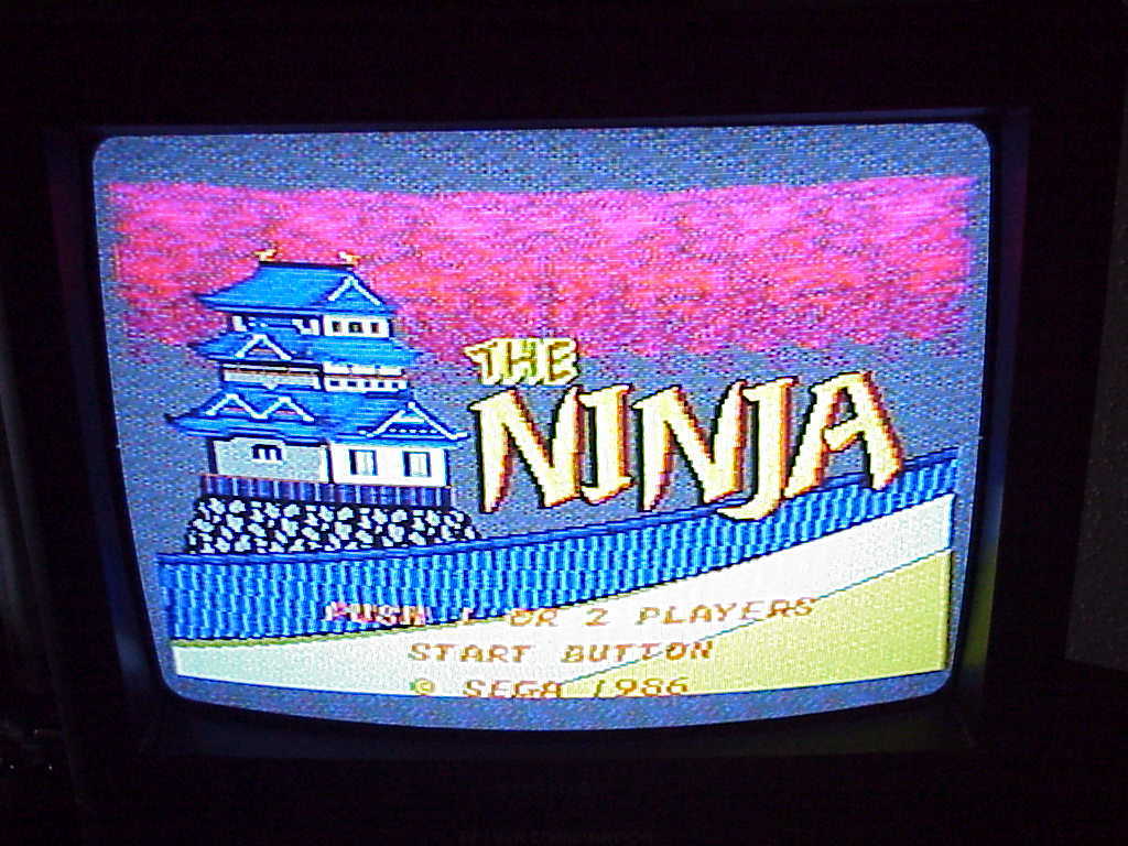 Sega Master System The Ninja Game Cartridge, with case, SMS, tested ...
