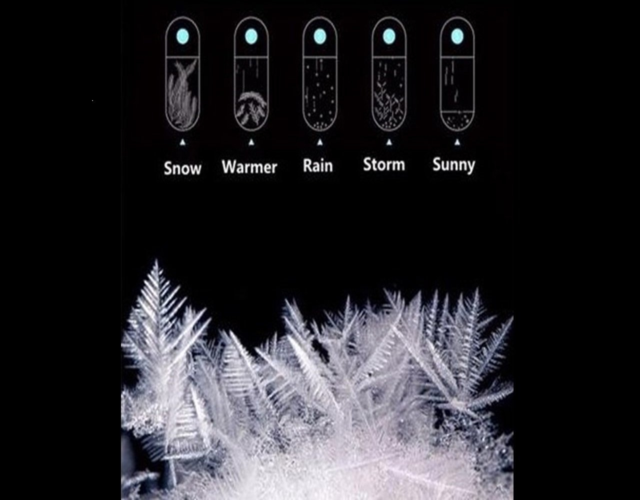 Storm Glass Weather Predictor - Fitzroy Barometer Set With Wood Base ...