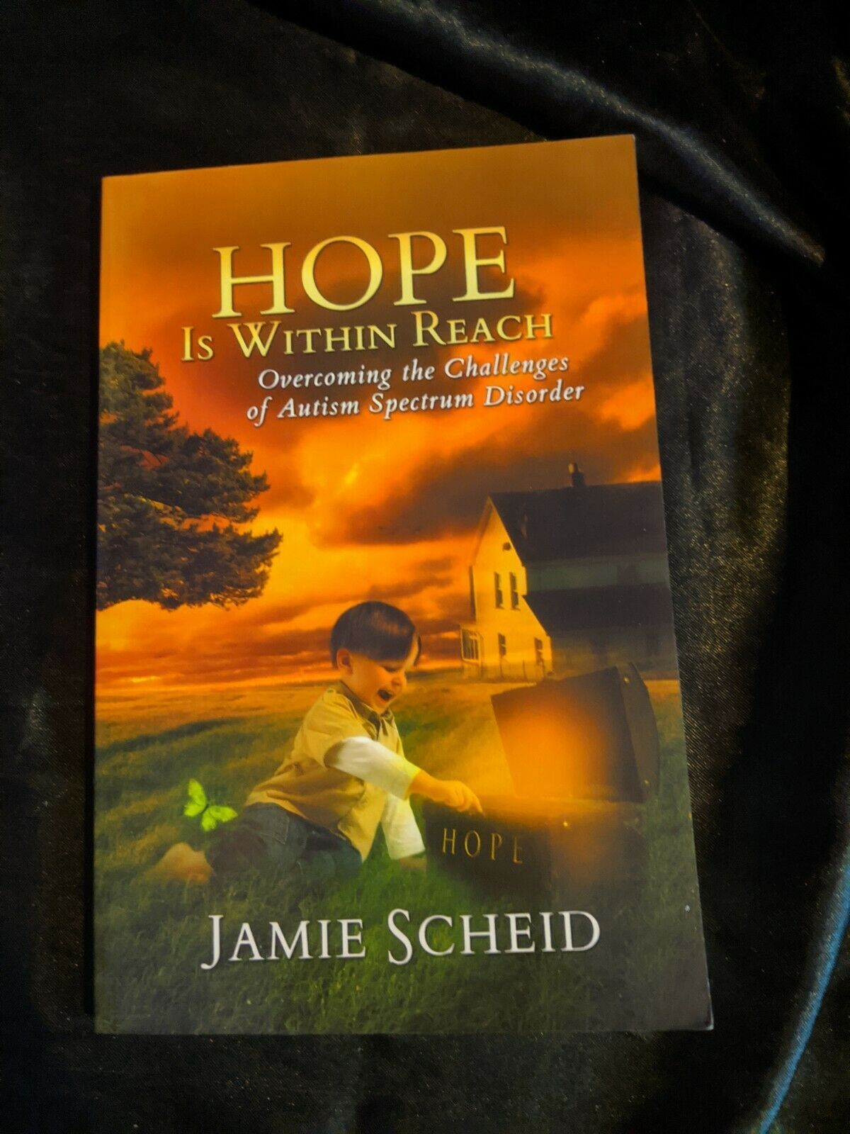 Hope is Within Reach Overcoming the Challenges of Autism Spectrumby ...