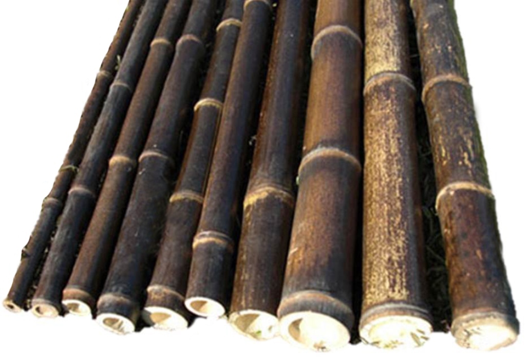 LARGE BLACK BAMBOO POLES 6 Long Choose From 3 Diameters 6 Pack Or 12 LARGE BLACK BAMBOO POLES 6 Long Choose From 3 Diameters 6 Pack Or 12
