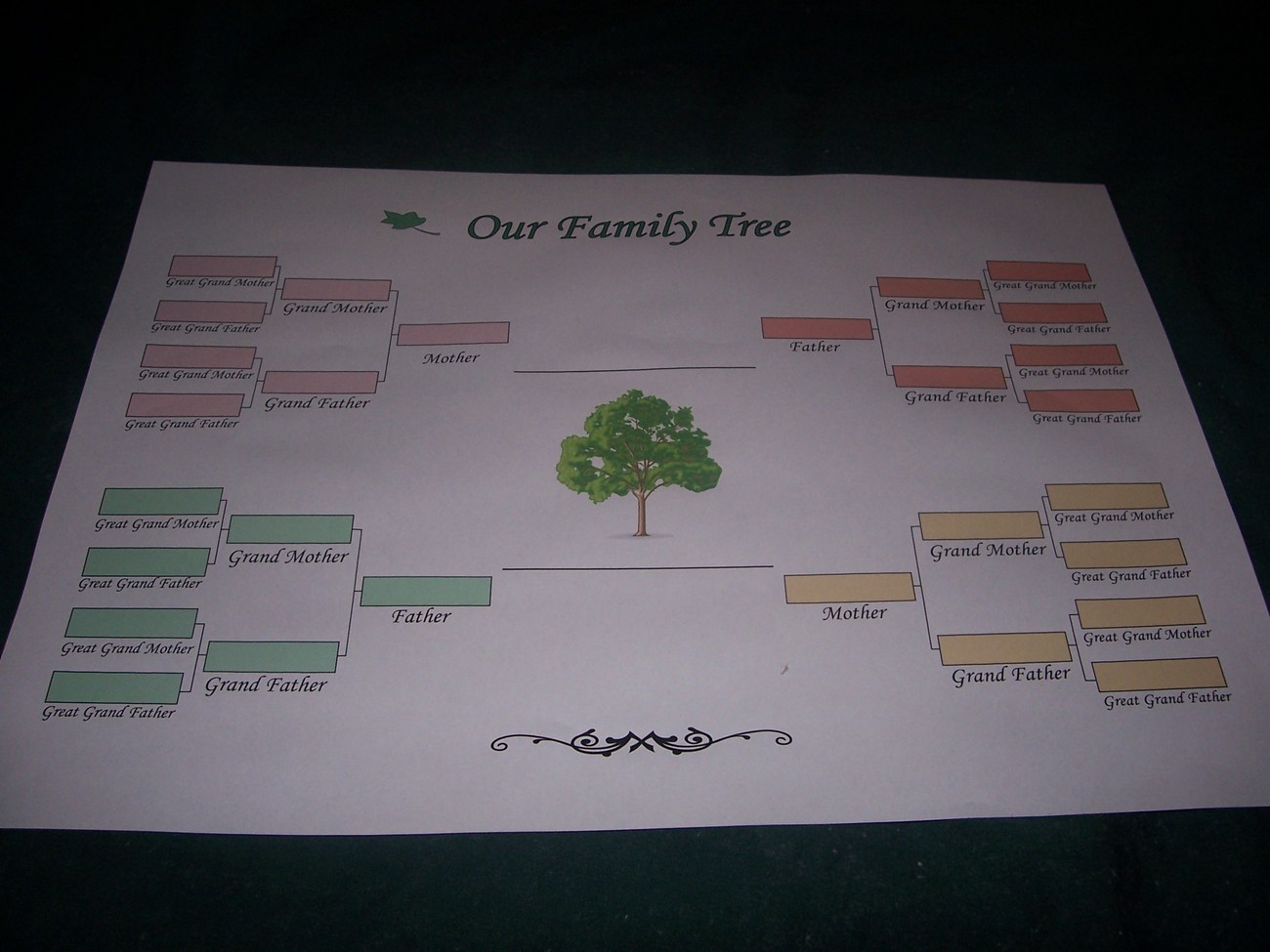 OUR FAMILY TREE PEDIGREE CHARTS - STYLE 2 - PACK OF 5 - Family Trees