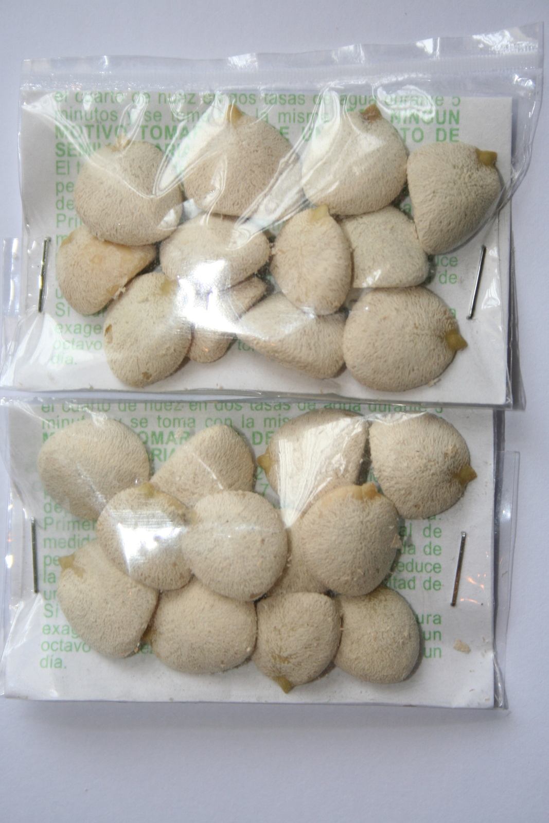 Nuez De La India (10 + 1 PACKS) 100% Original Authentic Indian Nut ...