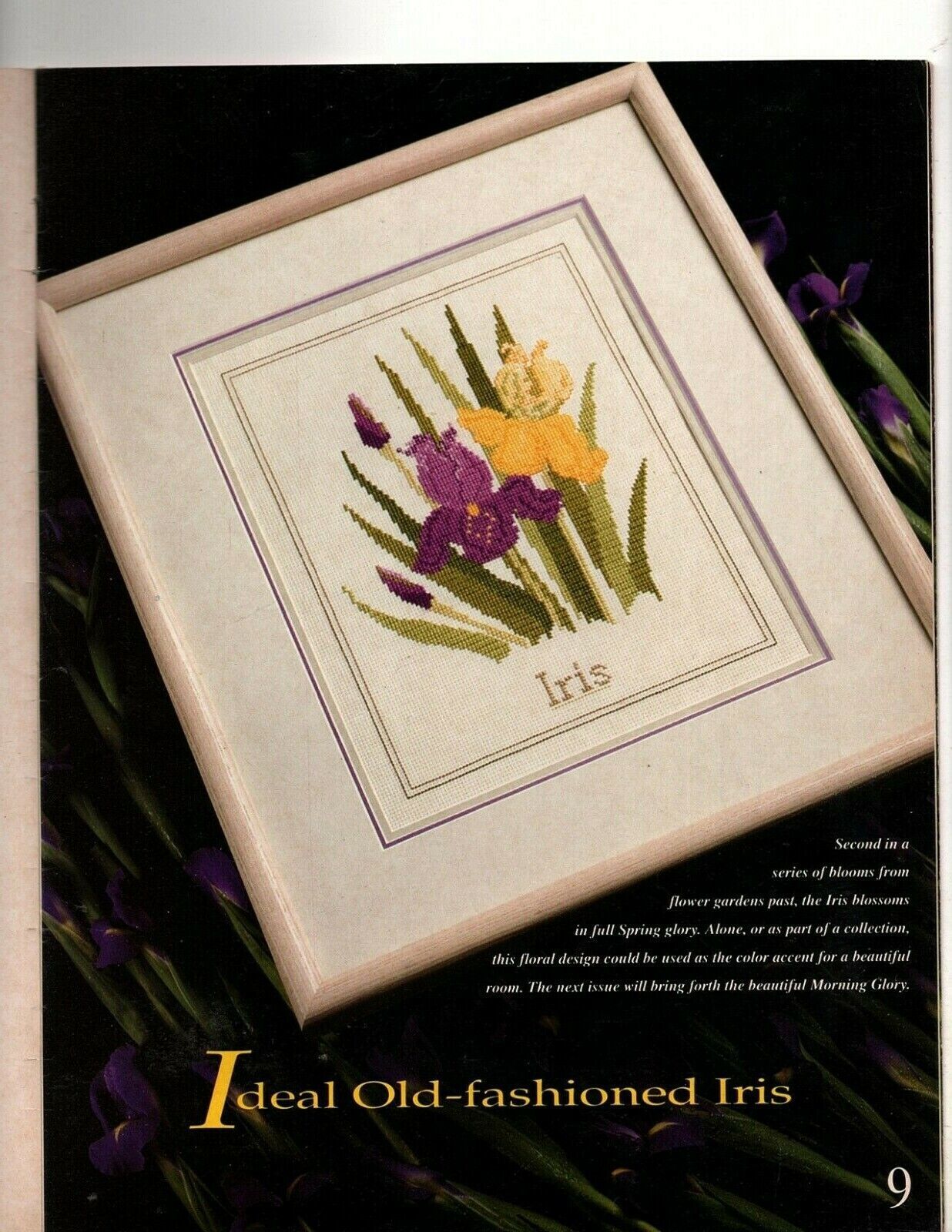 Classic Cross Stitch Magazine Feb/March 1991 Counted Cross Stitch ...