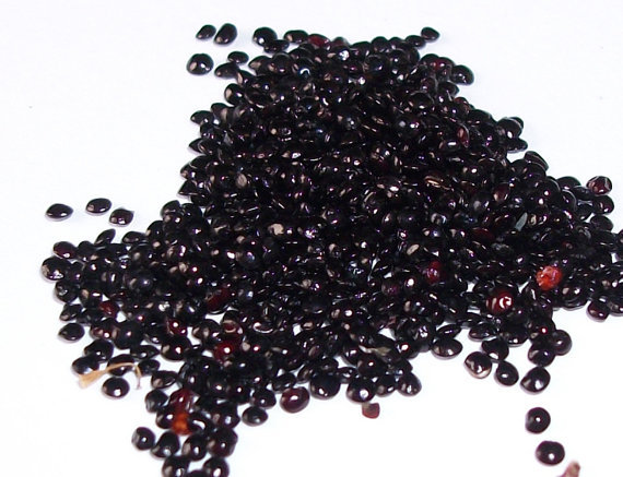 Cock's Comb - Celosia cristata 40 seeds - Yard, Garden & Outdoor Living