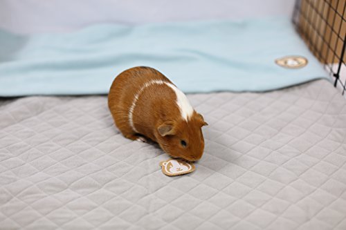 GuineaDad Fleece Liner | Guinea Pig Fleece Cage Liners | Guinea Pig ...