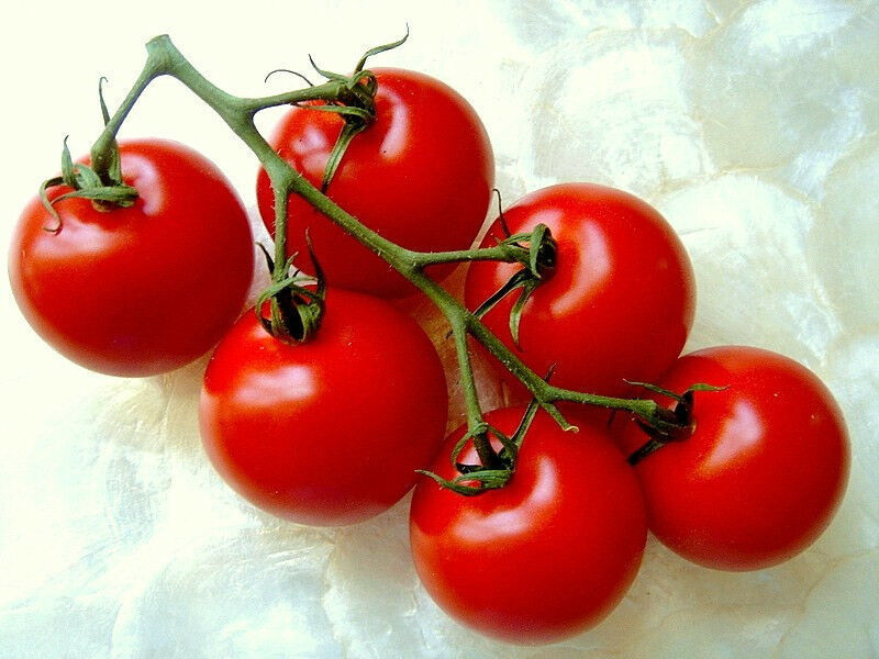CAMPARI TOMATO, sweet vine tomatoes exotic fruit vegetables plant seed ...