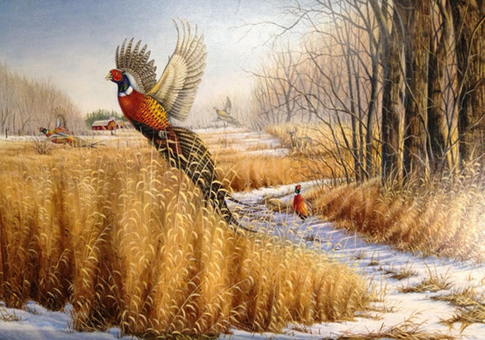 Pheasant Wildlife Cross Stitch Pattern***L@@K*** - Cross Stitch Kits