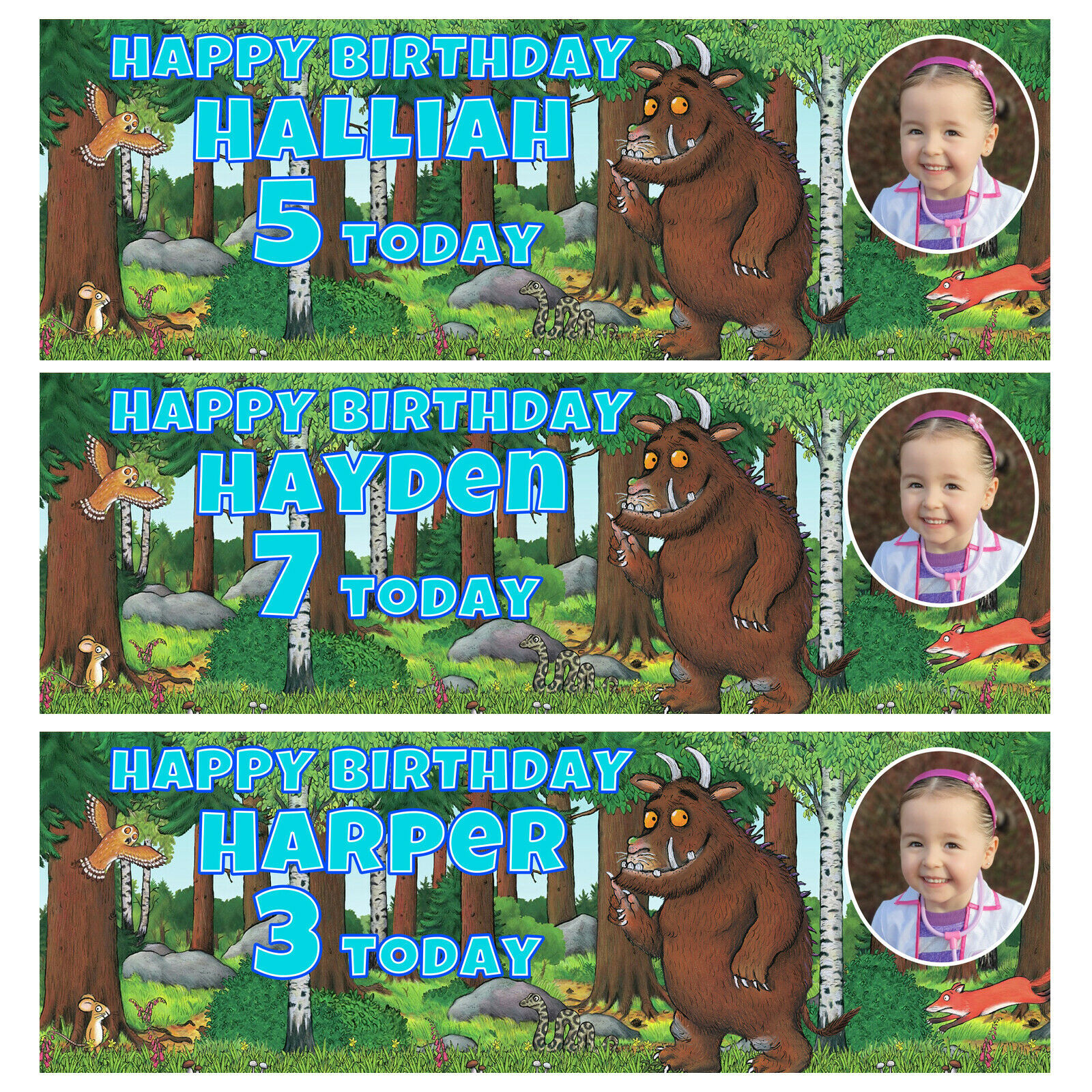GRUFFALO PHOTO Personalised Birthday Banner - Gruffalo Birthday Party ...