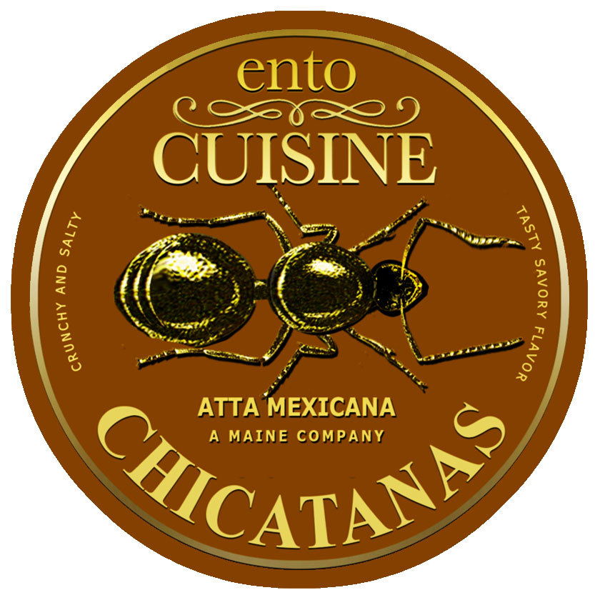 Chicatanas Imported From Mexico | Edible Insects | Edible Bugs - Food ...