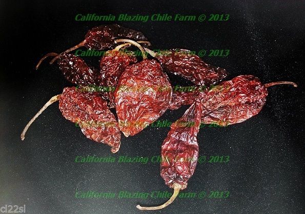 25 Whole Dried Ghost Pepper Insanely HOT! FIERY AND PAINFUL - Single