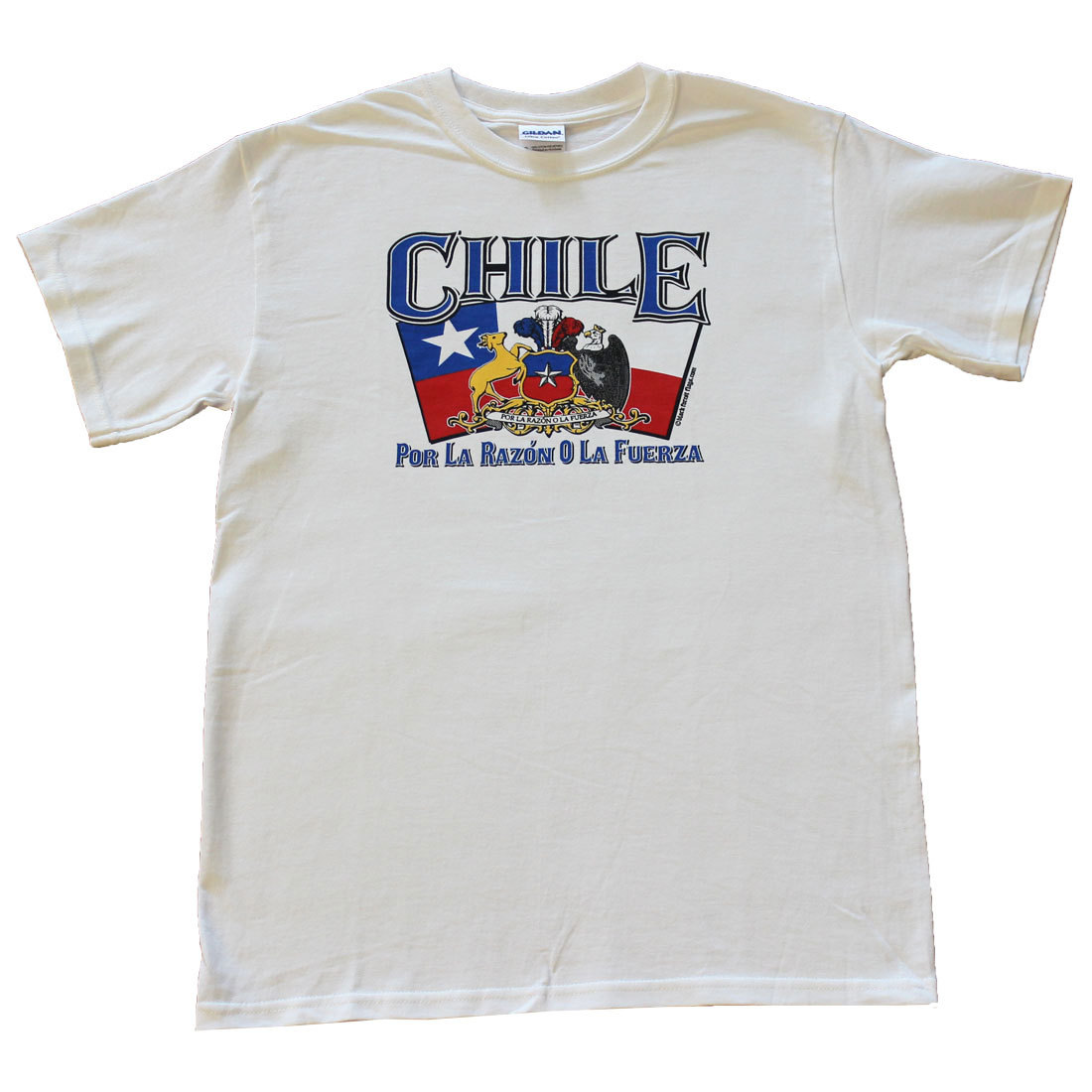 Chile International T-Shirt (S) - Fashion