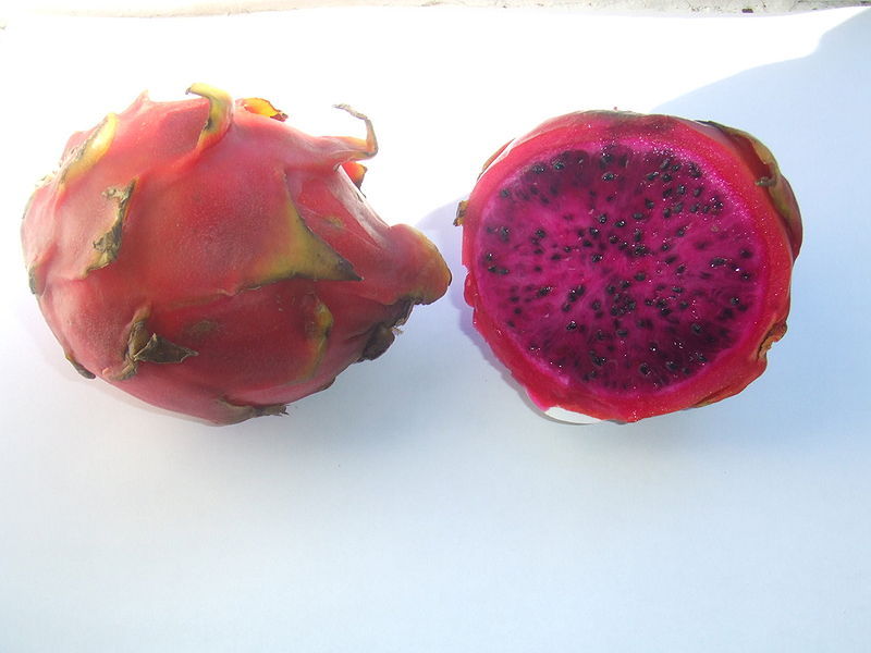 Dragon Fruit - Stenocereus - 50 seeds - Yard, Garden & Outdoor Living
