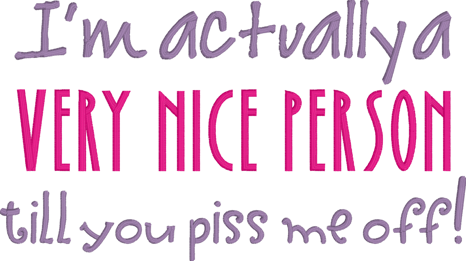 Comical Embroidered Shirt - I'm actually a VERY NICE PERSON till you ...