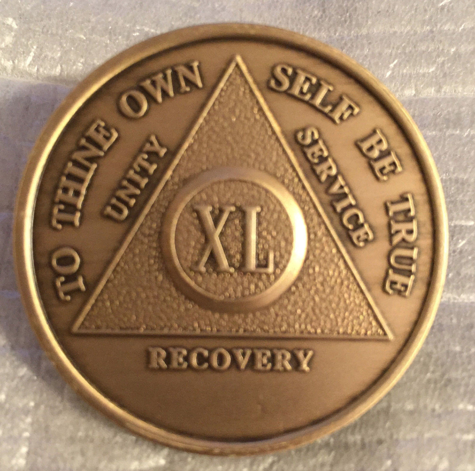 Alcoholics Anonymous 48 Year Recovery Coin Chip Medallion Medal Token ...