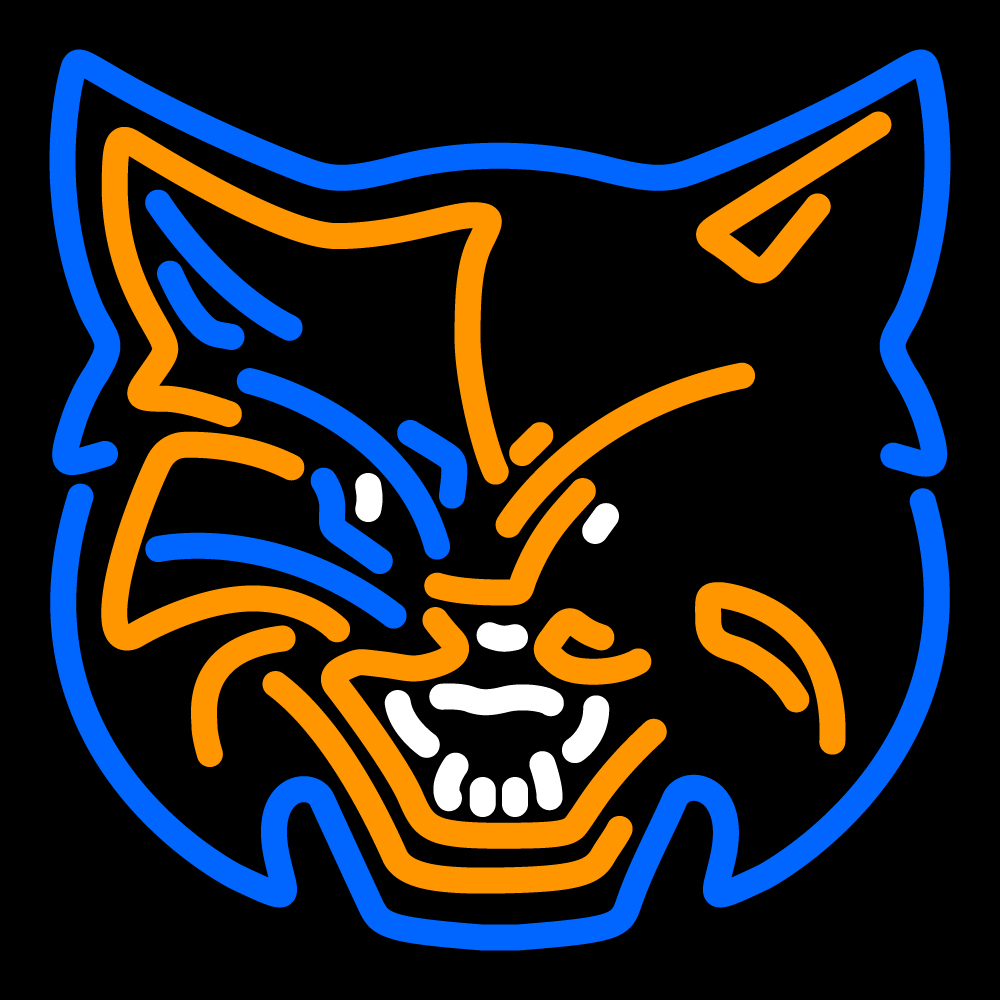 NBA Charlotte Bobcats Logo Neon Sign - Other Collectible Lighting