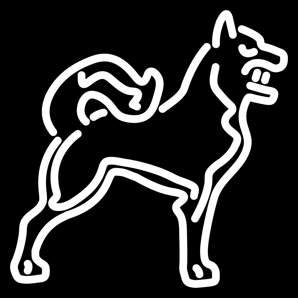 NCAA Northeastern Huskies Logo Neon Sign - Other Collectible Lighting