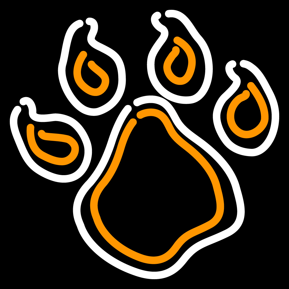 NCAA Sam Houston State Bearkats Logo Neon Sign - Other Collectible Lighting