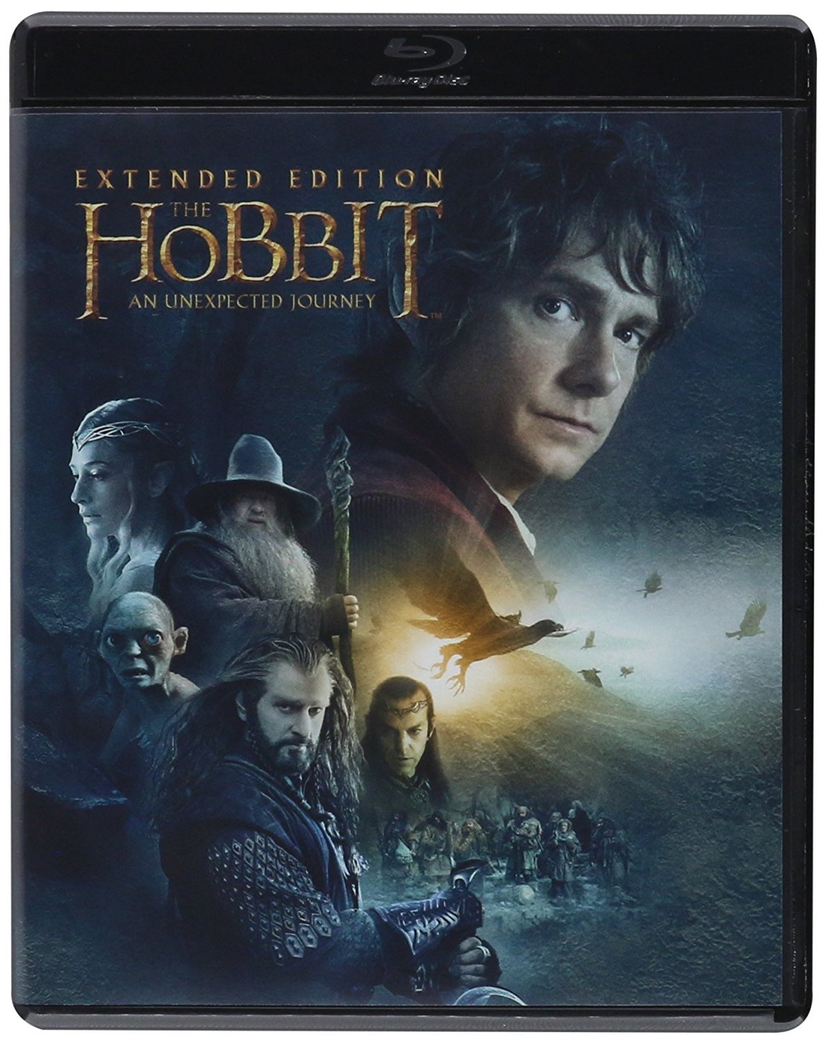 Hobbit The Motion Picture Trilogy Extended Edition Dvd Hd Dvd