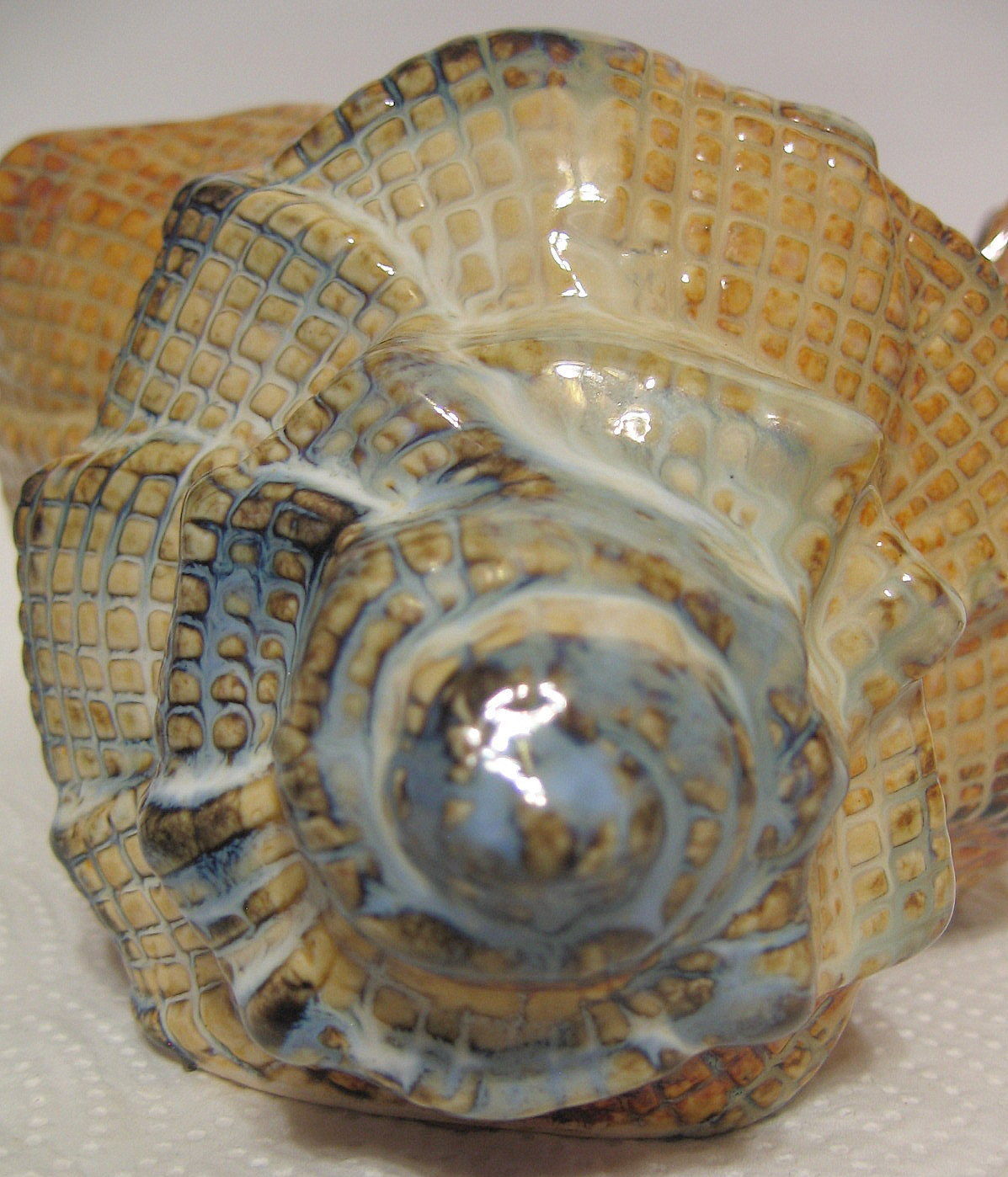 Medium Ceramic Sea Shell Bowl by Home Goods - Pottery & Glass