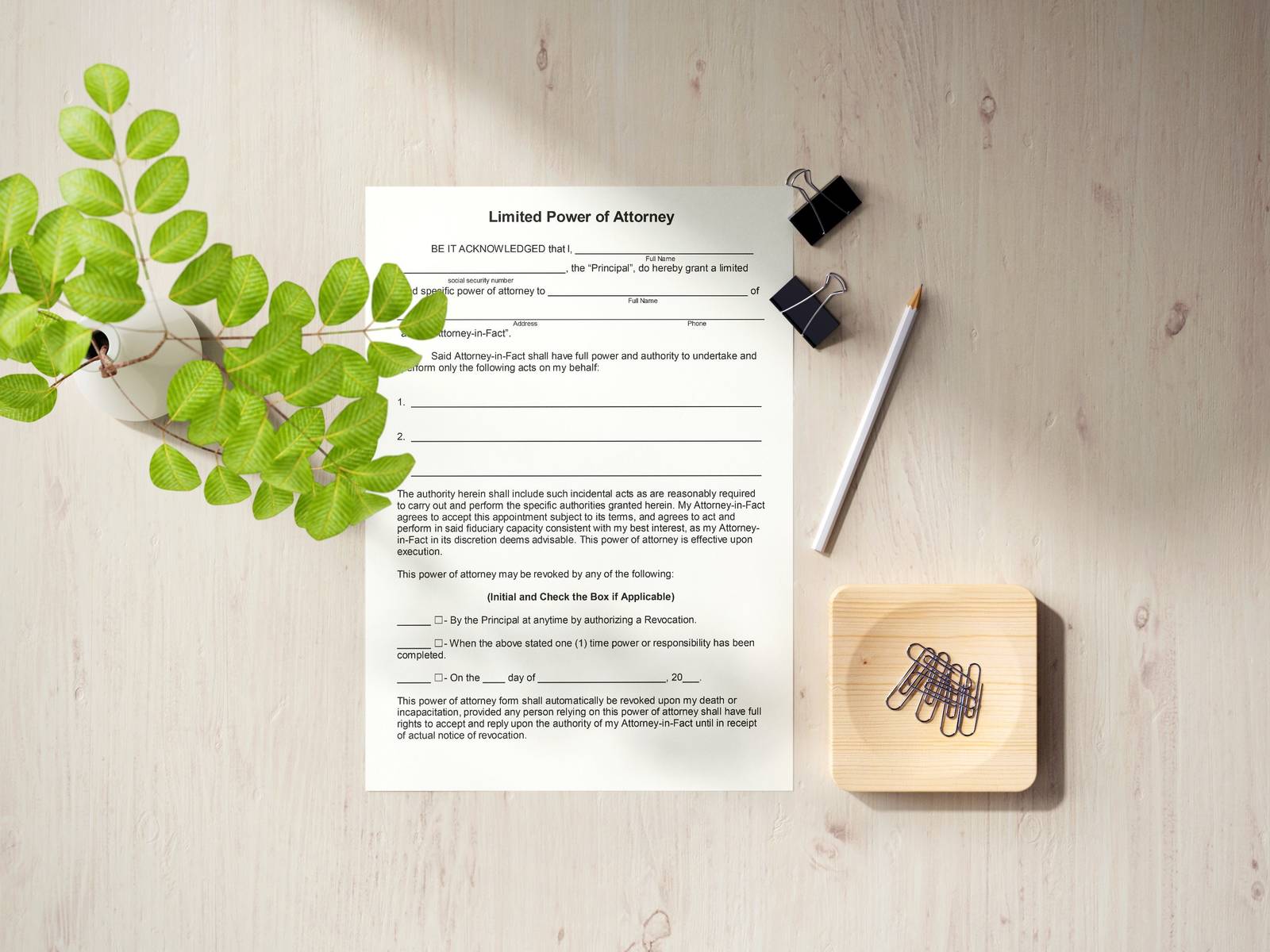 Limited Power Of Attorney PRINTABLE File Standard POA Finance Property limited-power-of-attorney-printable-file-standard-poa-finance-property