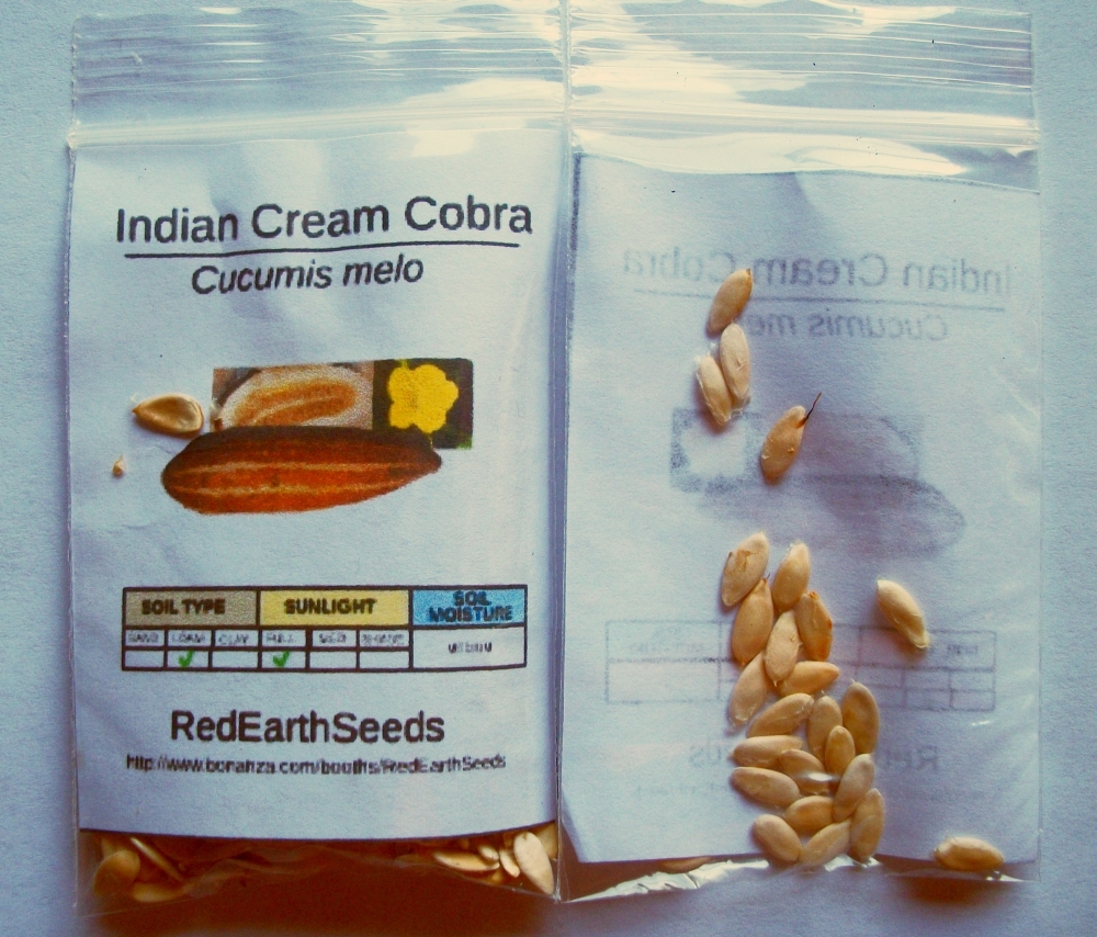 Indian Cream Cobra - Cucumis melo - 20 Seeds - Yard, Garden & Outdoor ...