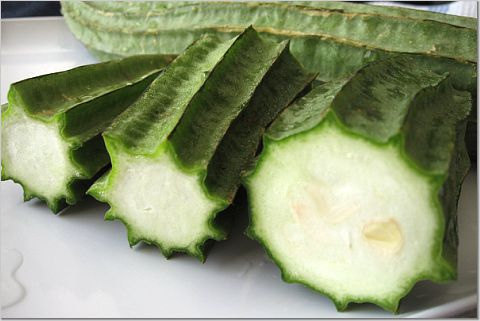 Heirloom Ridgegourd seeds,luffa (turai) seeds,dodka ,Cucumis ...
