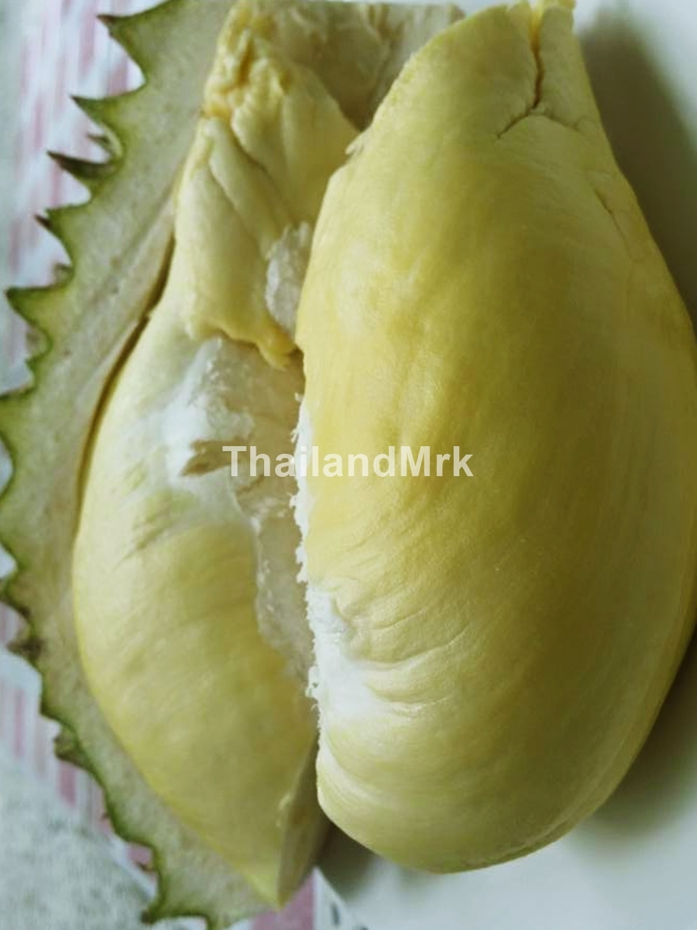 Thai Durian Malvaceae Durio zibethinus 5 Seeds ThailandMrk - Seeds & Bulbs