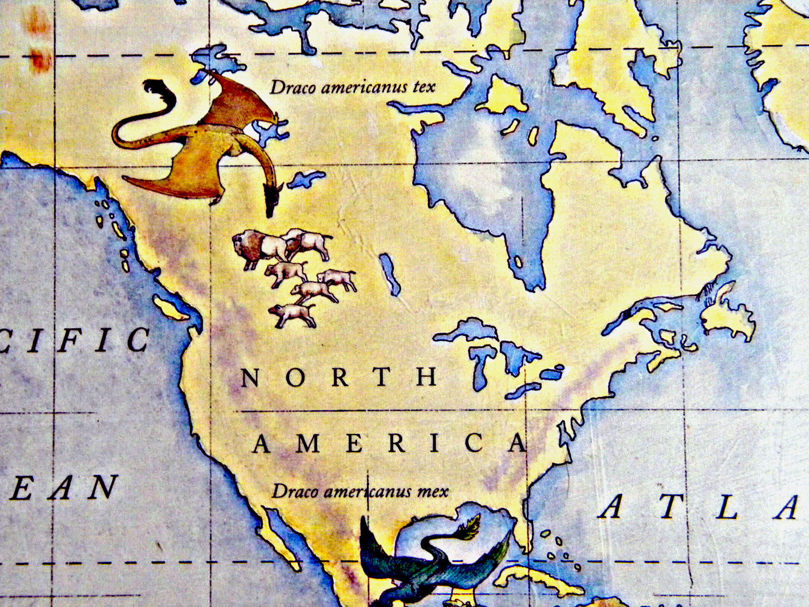 Dragons of the World map showing Continents and similar items