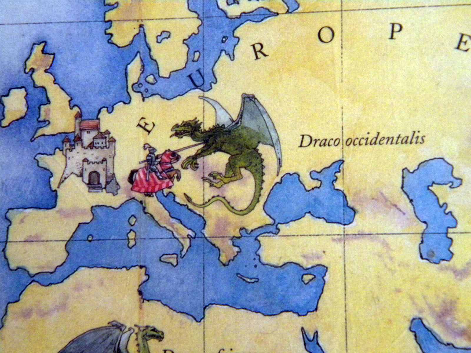 Dragons of the World map showing Continents and Dragons from each of ...
