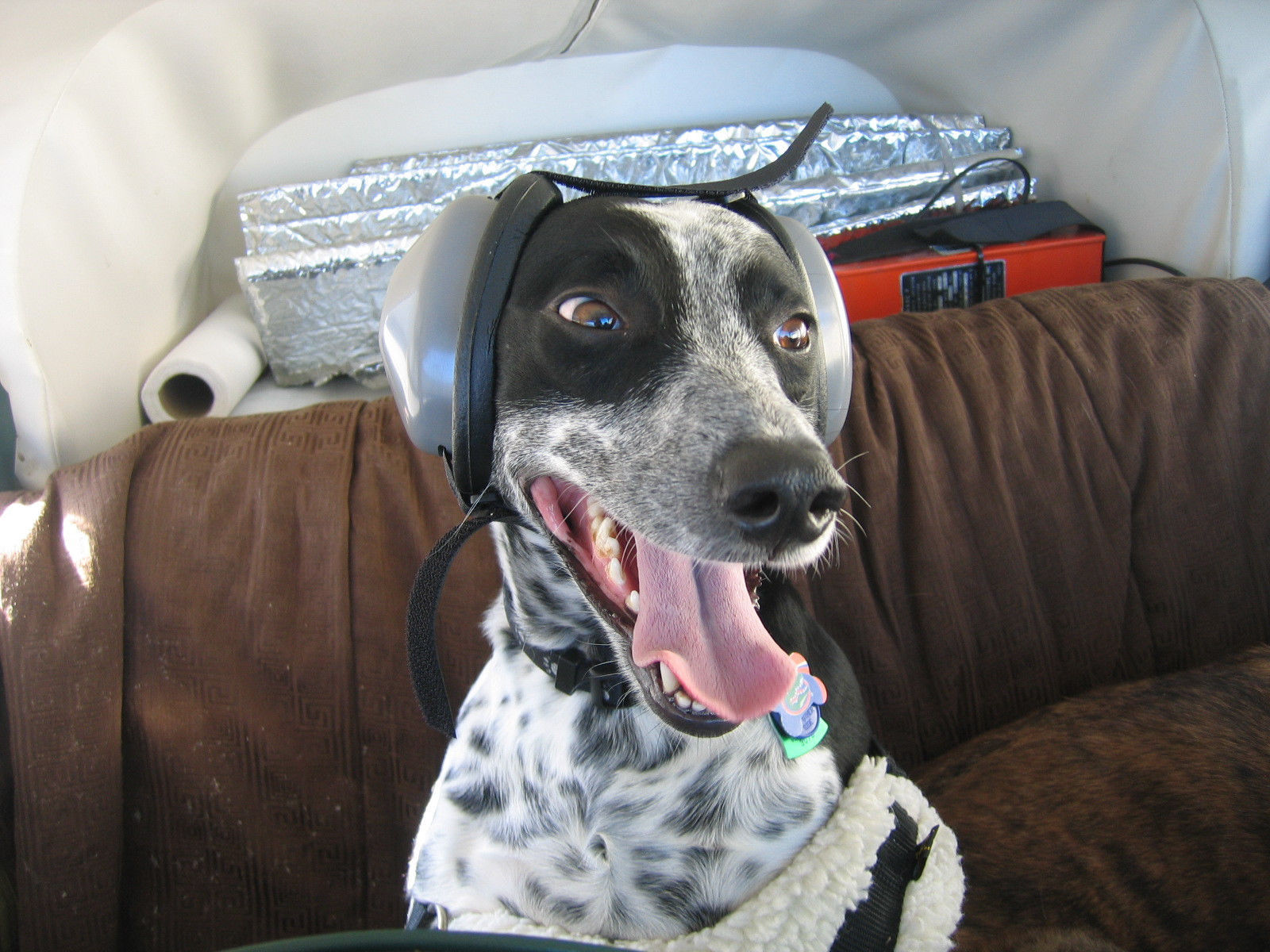 Mutt Muffs Earmuffs For Dogs Hearing Protection Pet Ear Care Safety 