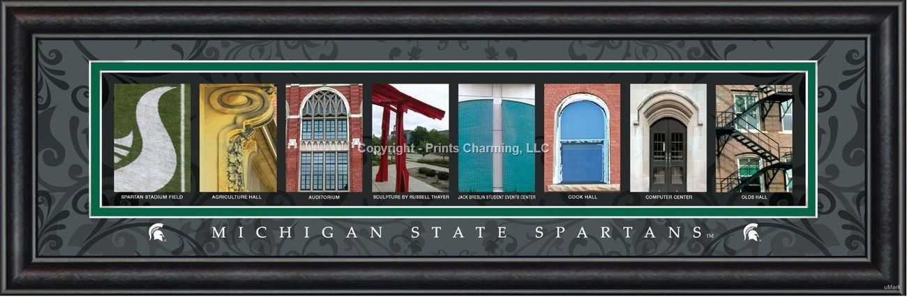 Michigan State University Officially Licensed Framed Letter Art 2 ...