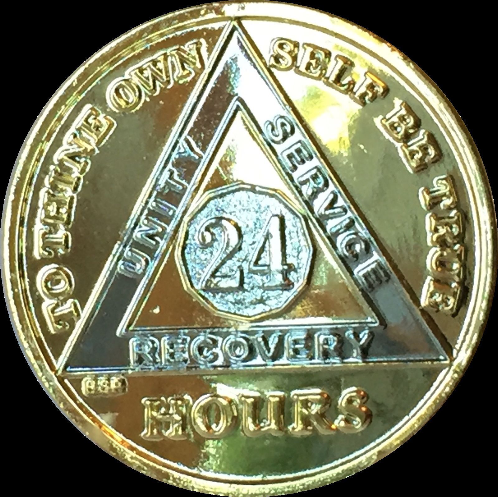 24 Hours Gold Plated AA Alcoholics Anonymous Medallion Bi-Plate ...
