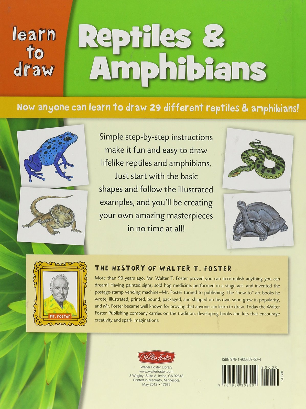 Learn to Draw Reptiles & Amphibians: Learn to Draw and Color 29 ...