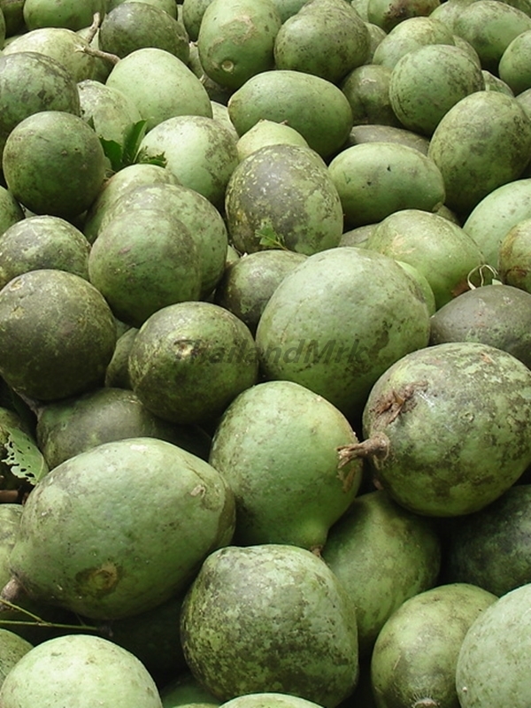 Thai bael Aegle marmelos Rutaceae 100 Seeds ThailandMrk - Seeds & Bulbs