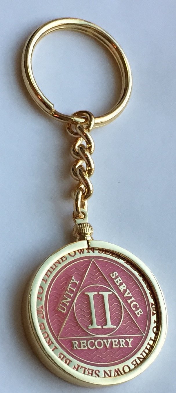 RecoveryChip Reflex or Elegant AA Medallion Keychain Sobriety Chip ...