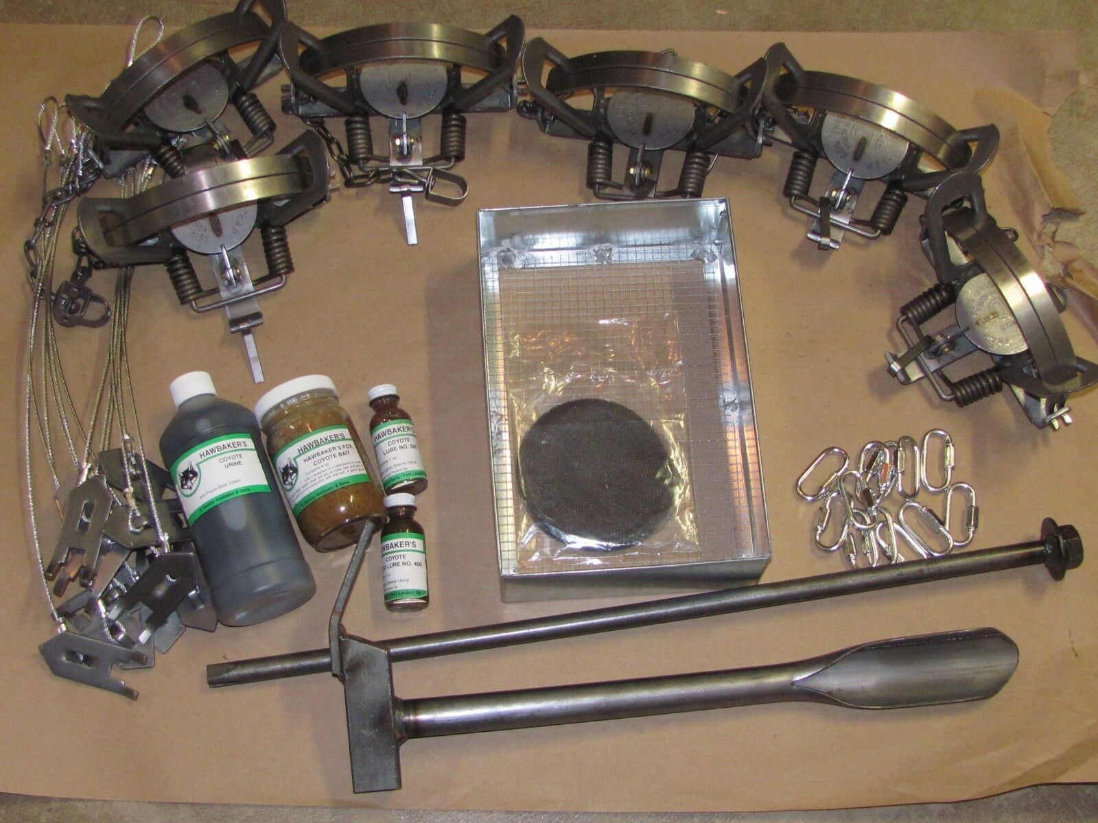 Coyote Trapping Package 12 duke #3 coilspring kit Fox Coyote Raccoon ...