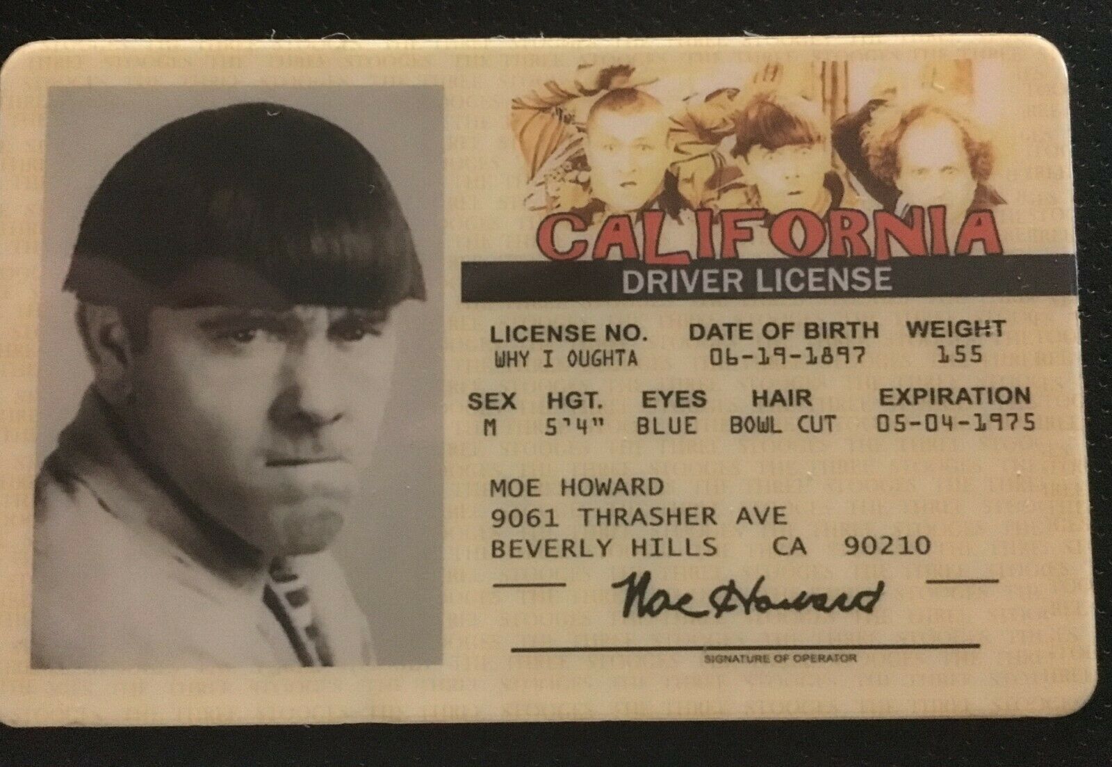 Moe Larry Curly Shemp Three Stooges 3 or 4 novelty cards - Other