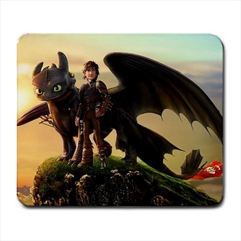 How to Train Your Dragon Toothless and Hiccup Large Rectangular ...