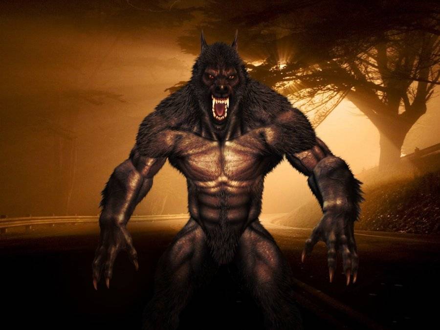 WEREWOLF ALPHA MALE SPELL! BECOME THE PACK LEADER! TESTOSTERONE BOOST ...